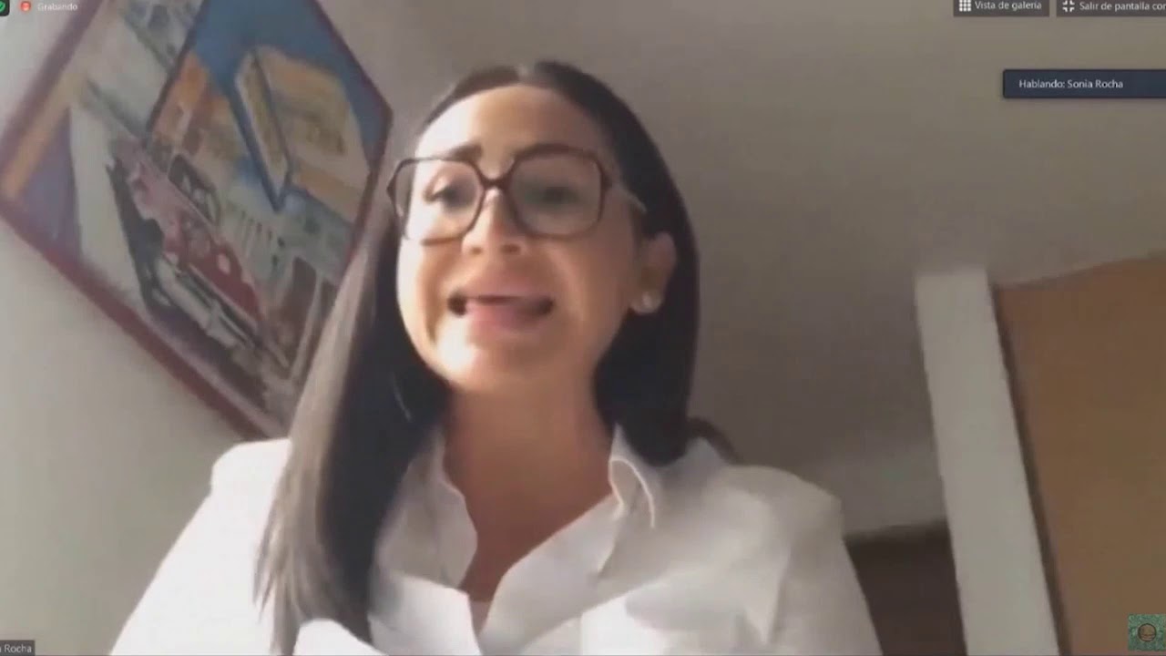 Dip Sonia Rocha Acosta Parlamento abierto para analizar propuesta de ...