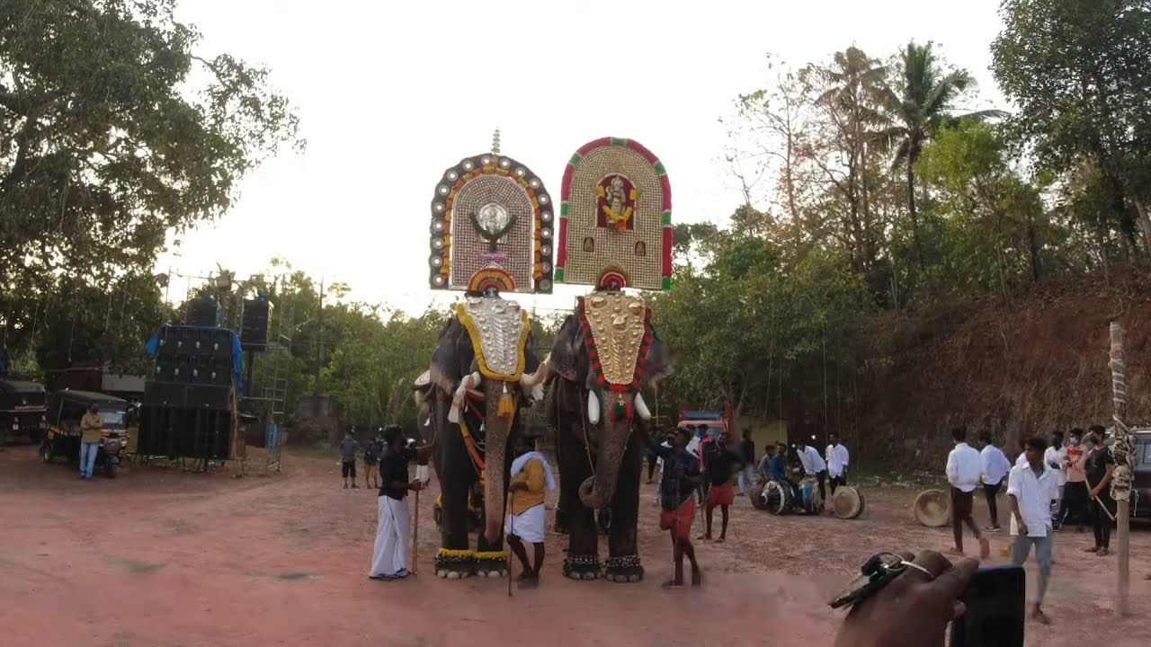 ambadi balanarayanan kerala elephant at kollam #kerala_elephants # ...