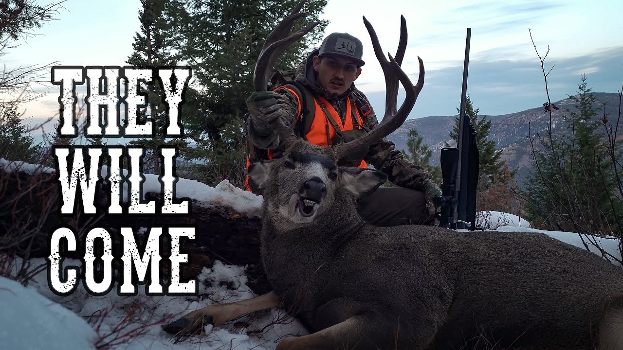 FILM// "THEY WILL COME" (Solo Public Land Muley Hunt MONTANA 2024 ...