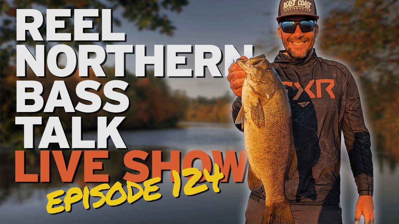 Reel Northern Bass Talk Livestream Open Topic Night - YouTube