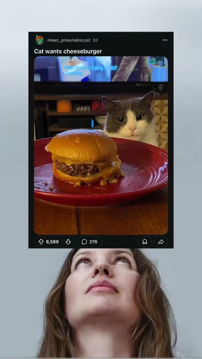 Cat wants cheeseburger - YouTube