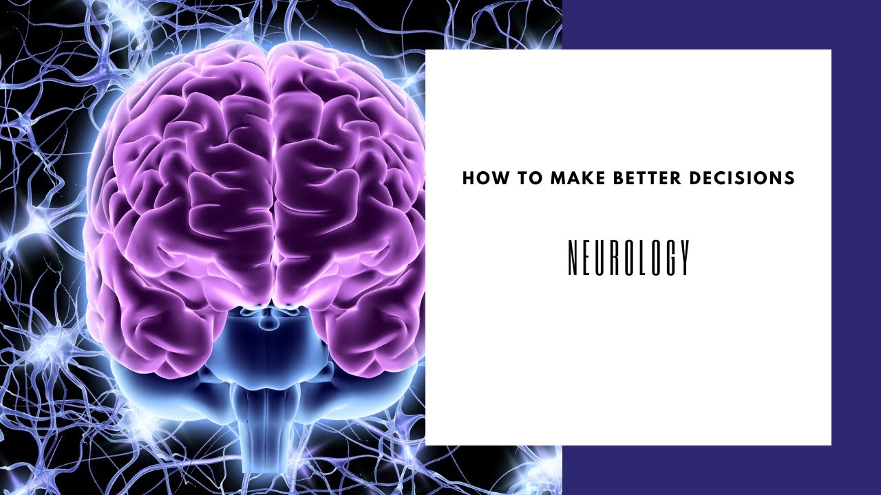 How your brain makes decisions: Old brain vs new brain - Make Better ...