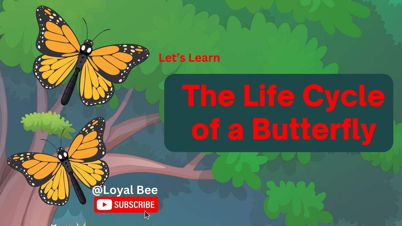 "Fluttering Through the Life Cycle of a Butterfly: A Mesmerizing ...