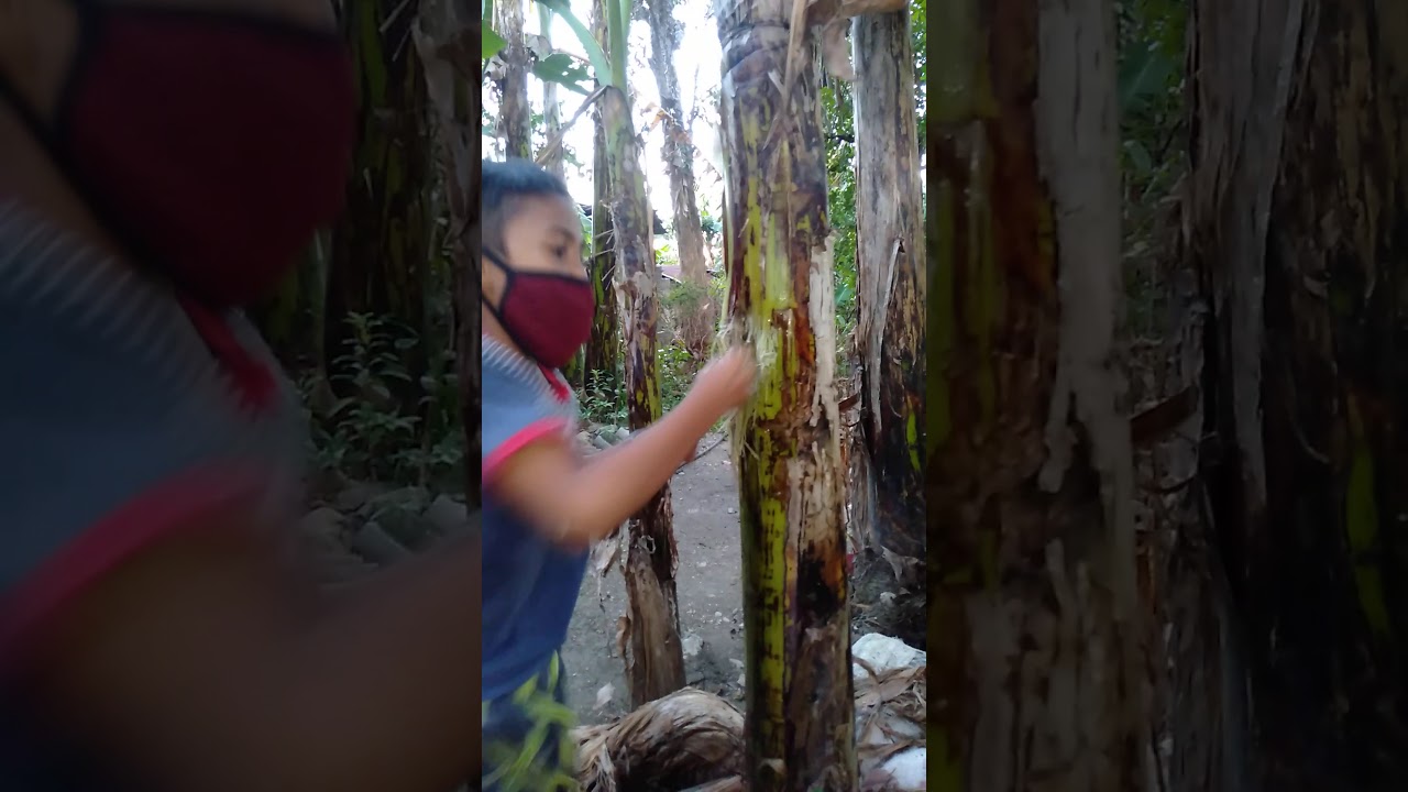 Exercise.malakas El Isog - YouTube