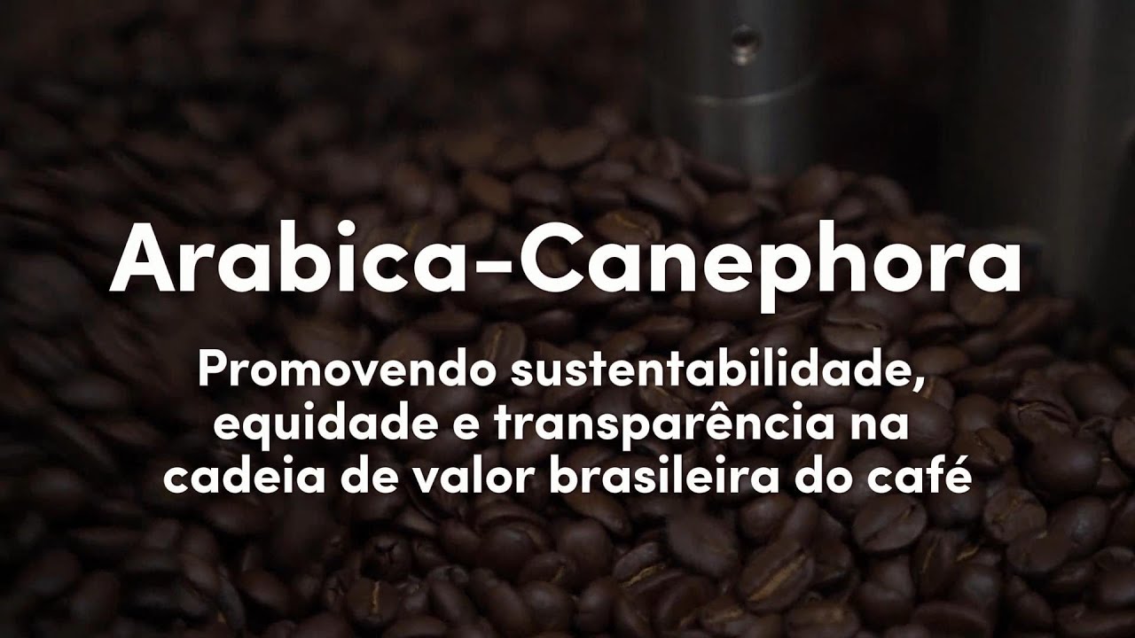 Arabica-Canephora: Promovendo sustentabilidade, equidade e ...