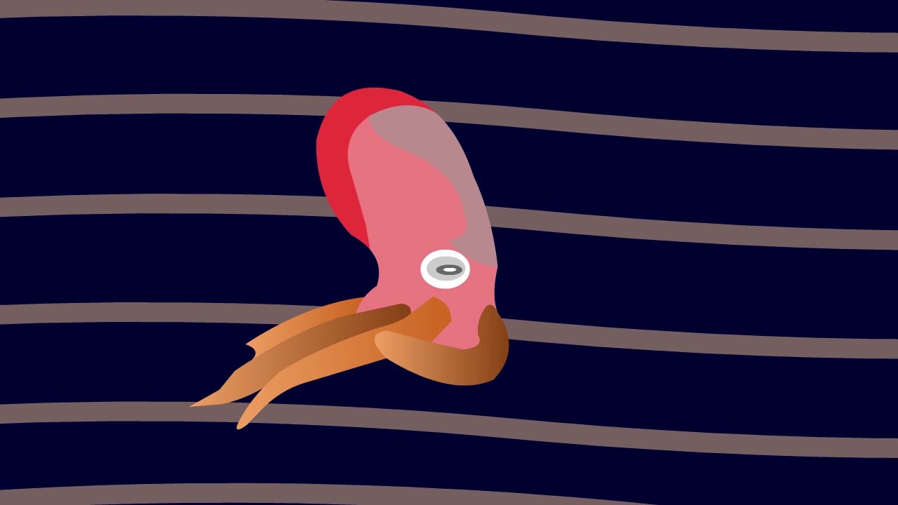 How deep is Mariana Trench Challenger Deep Sirena Deep - YouTube