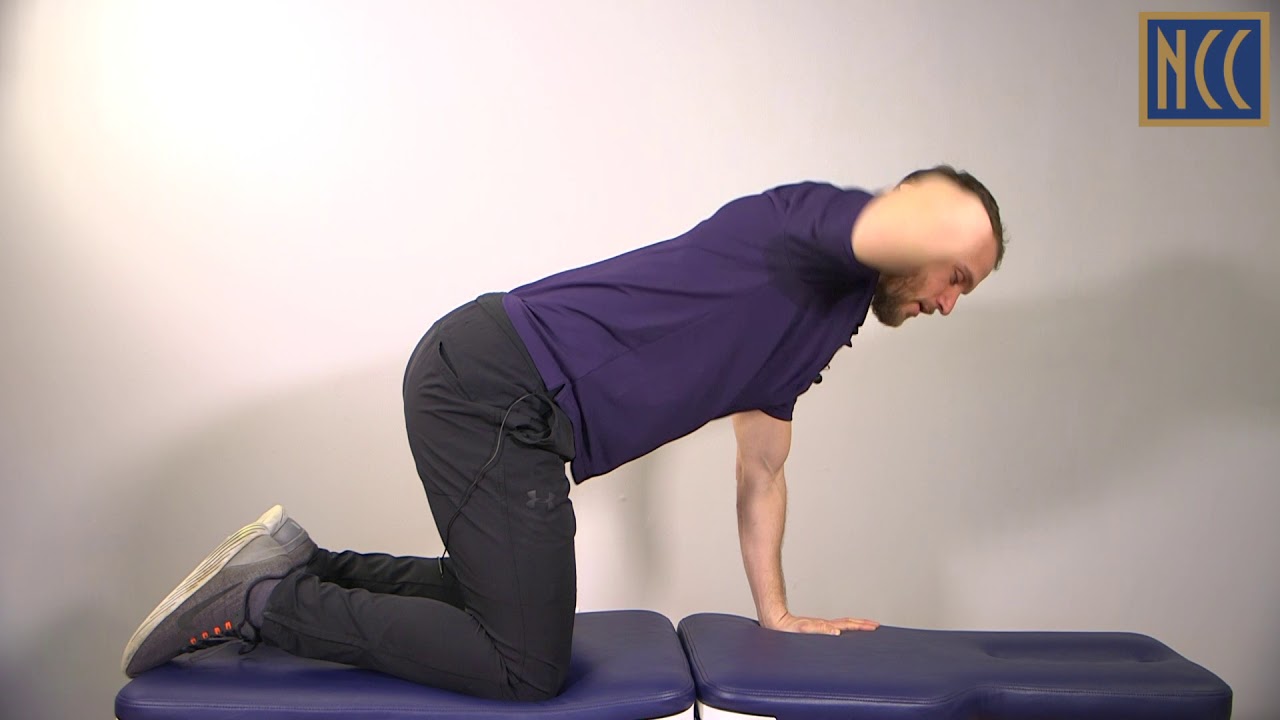 Quadruped Thoracic Rotation - YouTube