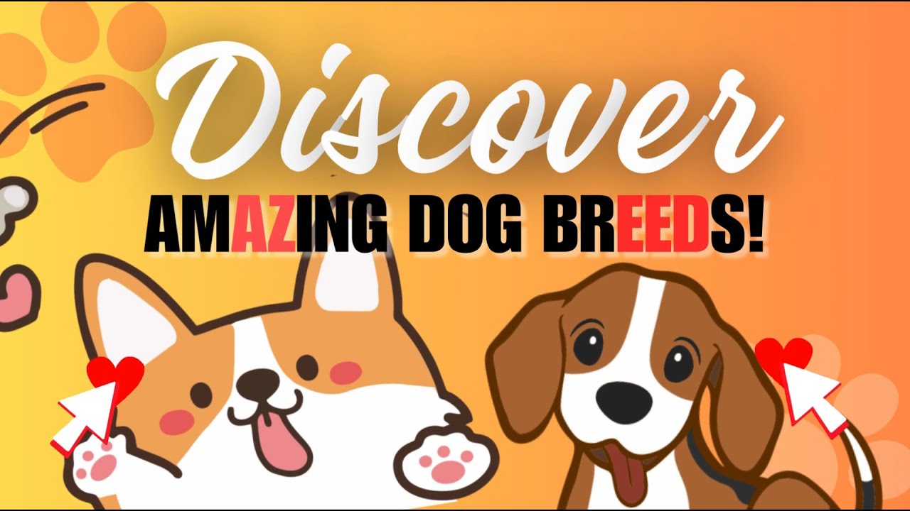 Know Your Dog Breeds! An Introduction To Different Types Of Dogs - YouTube