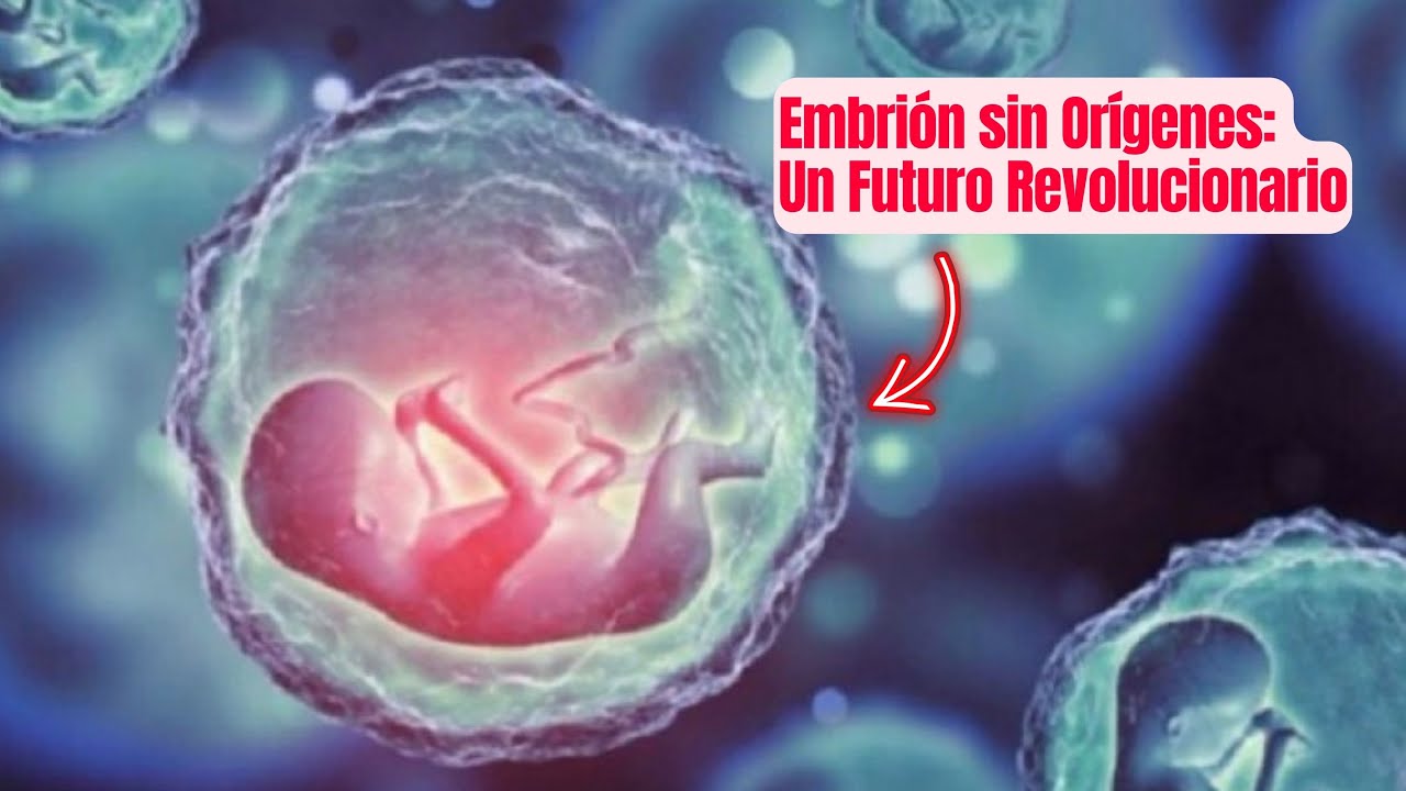 Nacimiento del Futuro: Embrión Humano sin Orígenes Biológicos - YouTube