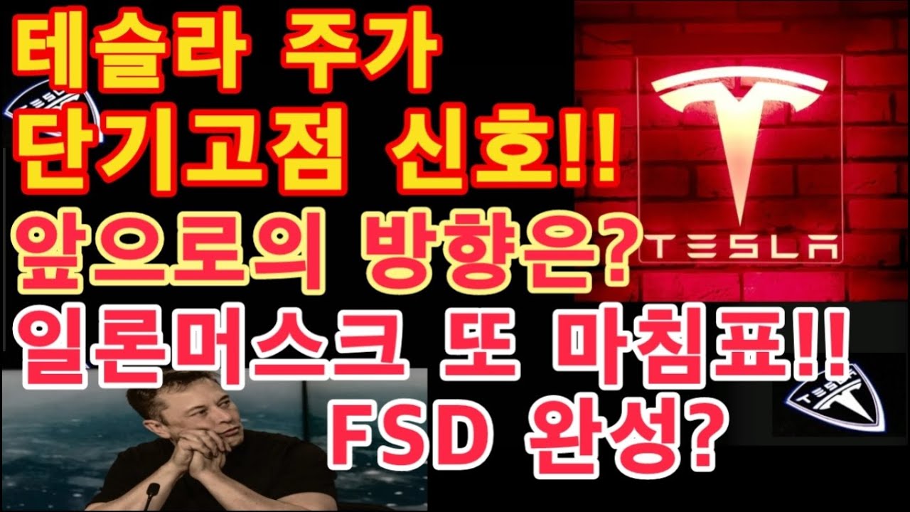 테슬라 주가 단기 고점 신호 Fsd 완성 일론 머스크 또 마침표 테슬라 투자 Tsla 차트 체크 Sandp
