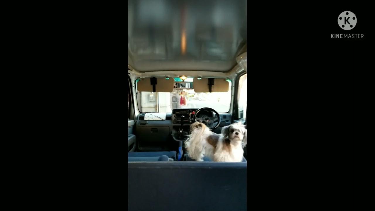 ハイゼットカーゴS321V - YouTube