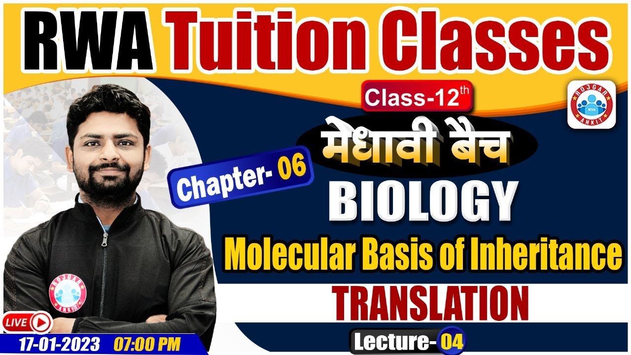 Molecular Basis Of Inheritance Class 12 | Biology Class 12 Board Exam ...