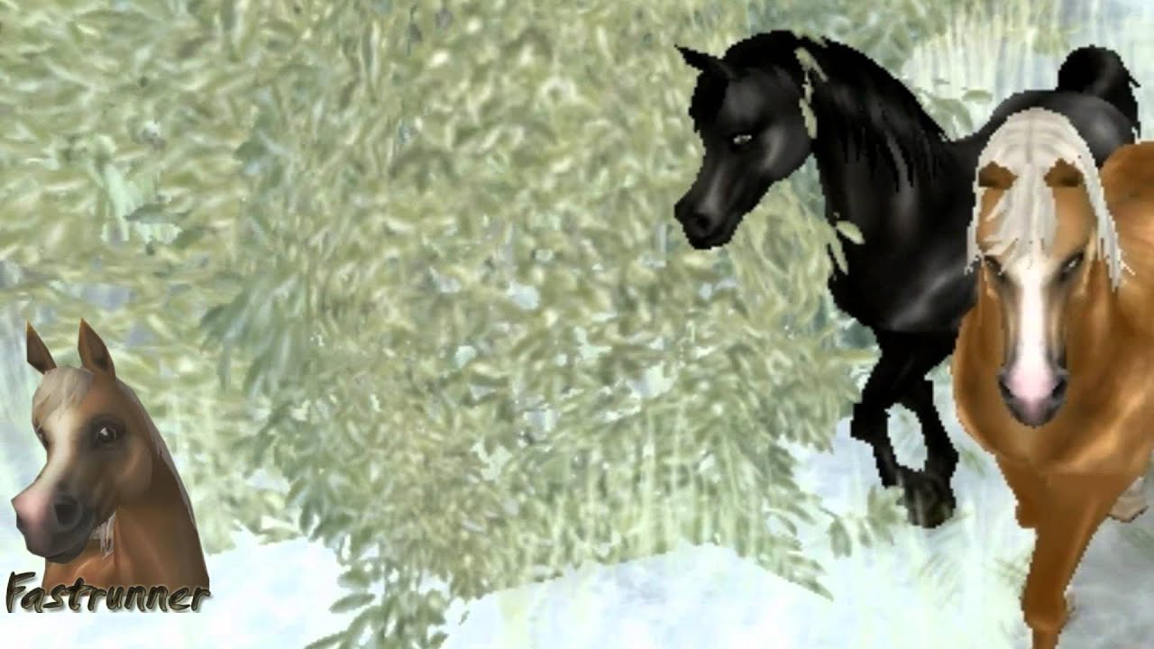 Star Stable Online- Arabian Horse - YouTube