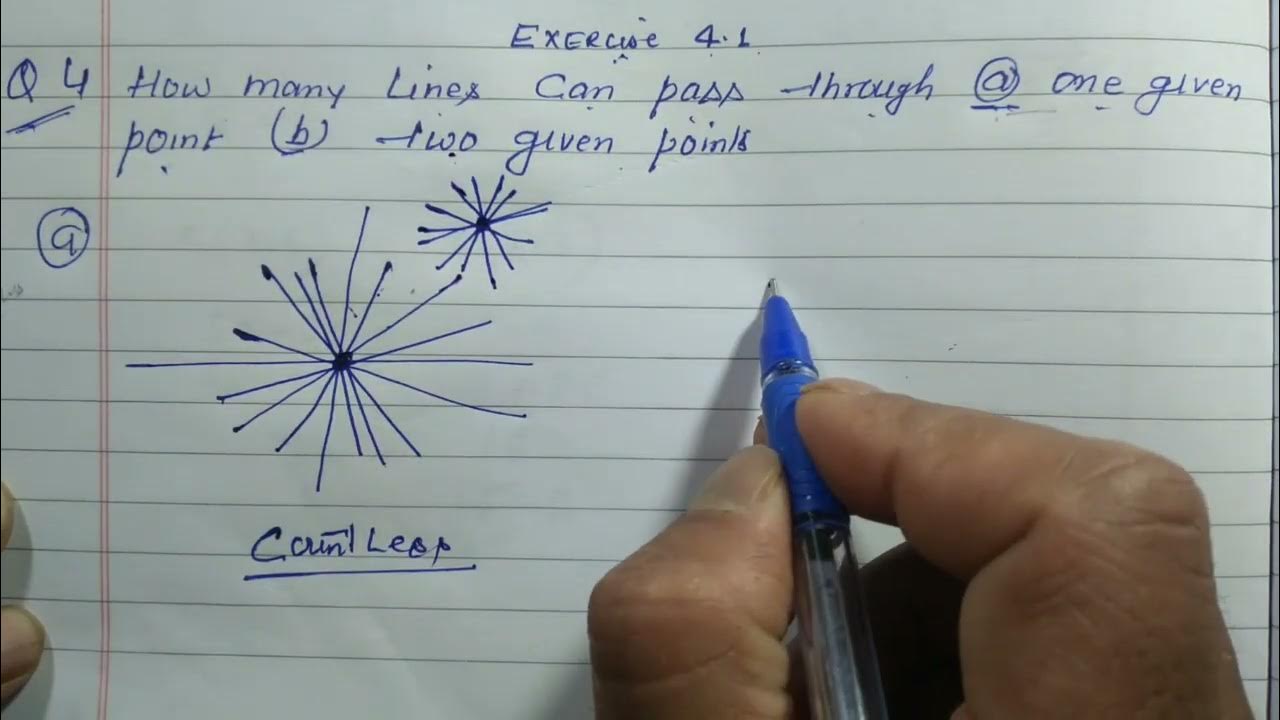 Class 6 - Exercise 4.1 - Q 4 | How many lines can pass through - YouTube
