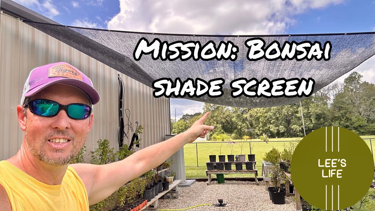 DIY: My pre bonsai were getting cooked: Bonsai shade screen. #bonsai # ...