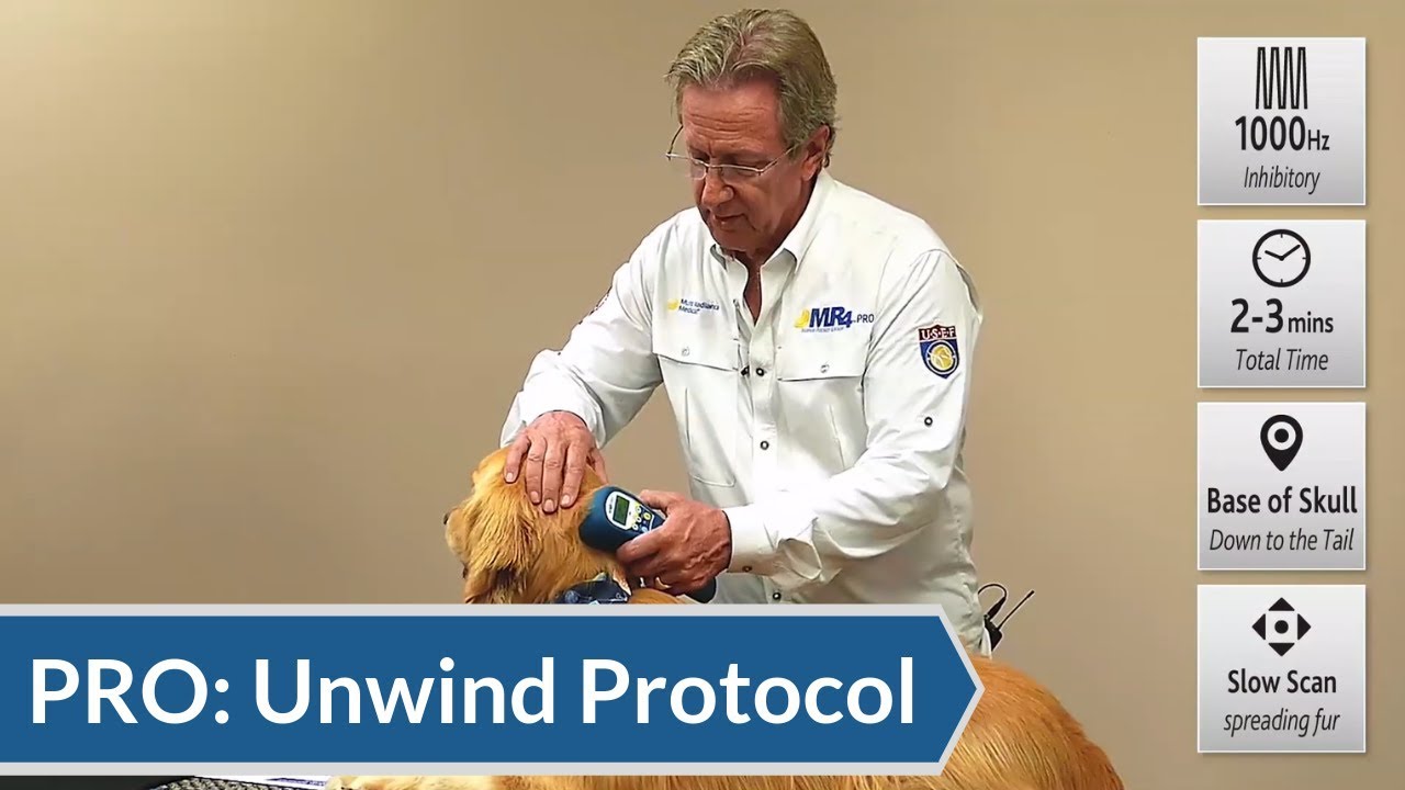 Laser Therapy Protocol: Start with Unwind Protocol | ACTIVet PRO - YouTube