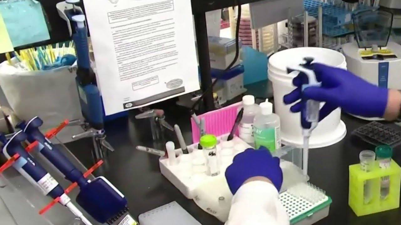 Inside the Michigan lab where researchers identify, track COVID ...
