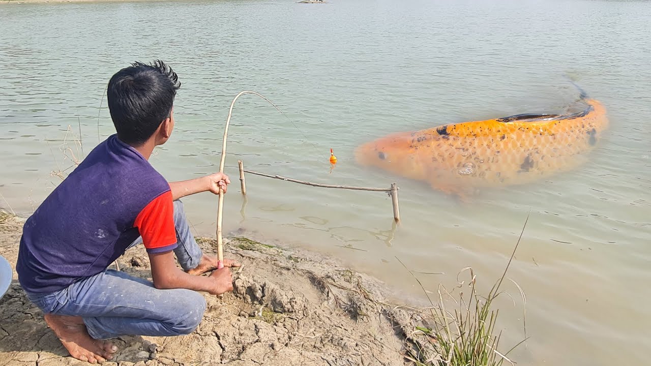 Amazing Traditional Boy Hunting Big Fish By Hook In Pound | Best Hook ...