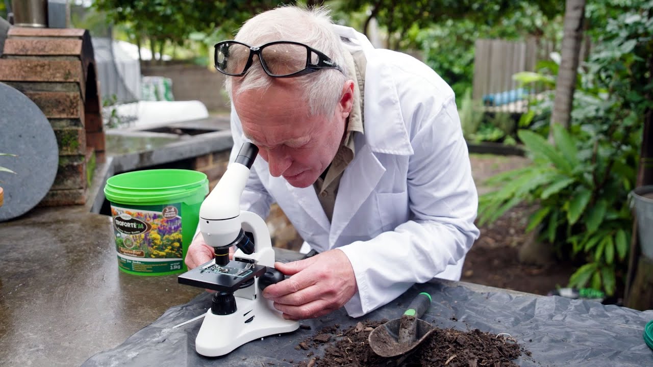 The Garden Gurus - Rejuvenating your garden - YouTube