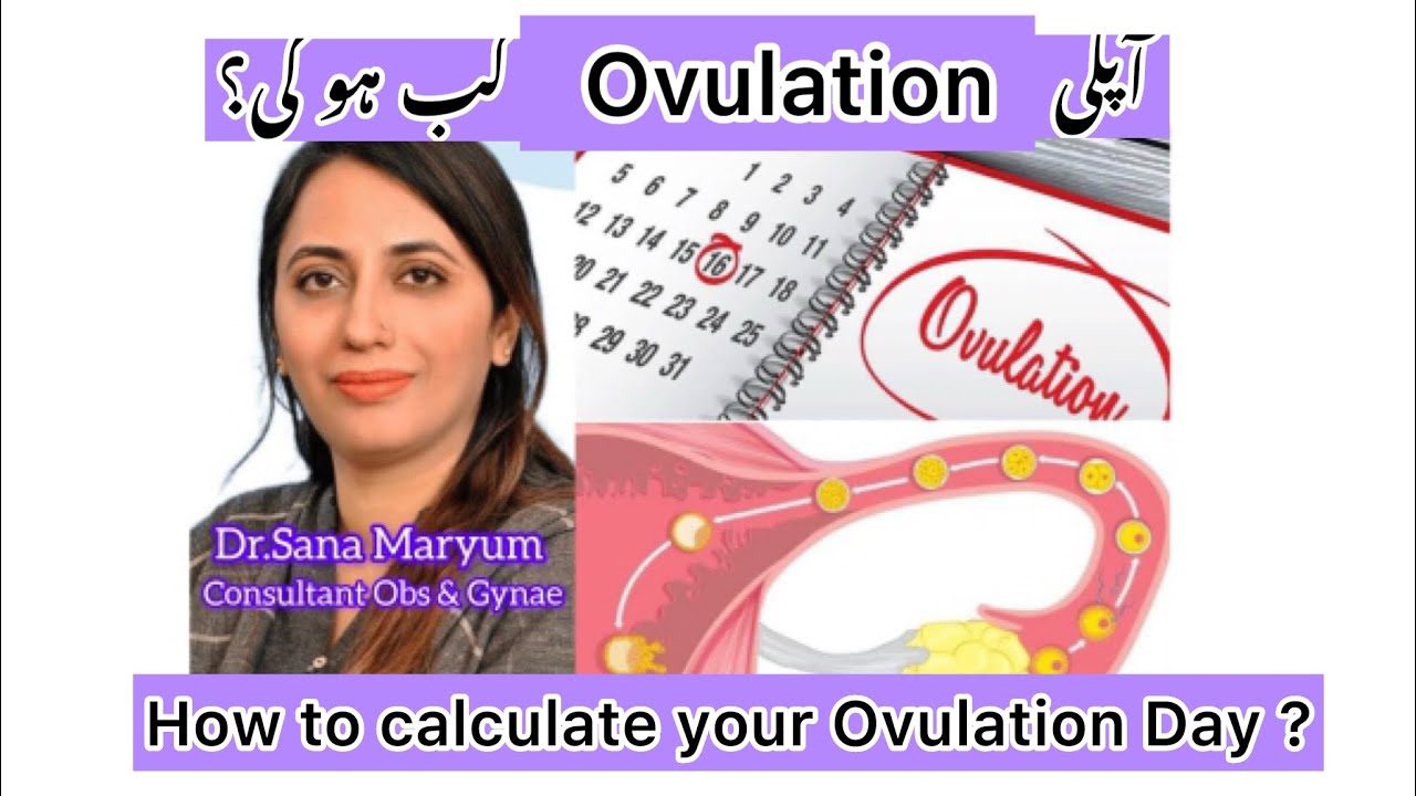 How to calculate your Ovulation day ? What is fertile period ? - YouTube