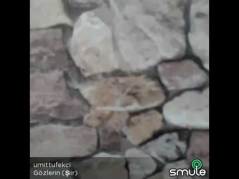 Gözlerin şiir Barış Akarsu