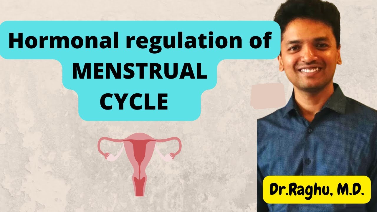 Hormonal regulation of Menstrual Cycle | #mbbs #physiology # ...