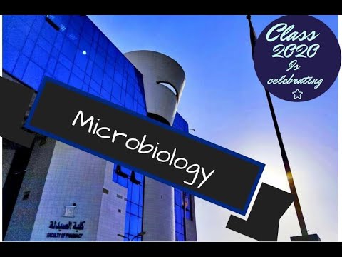 FOPASU 2020 celebration part 2 - YouTube