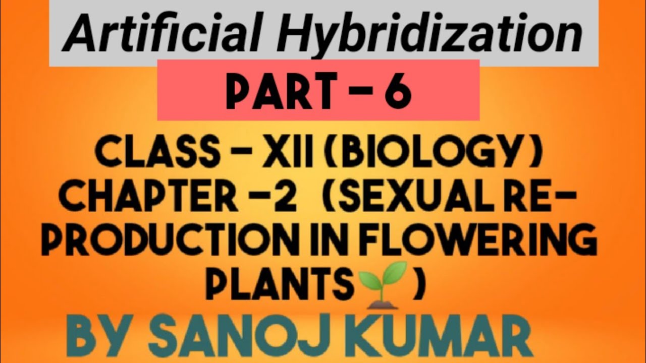 Artificial Hybridization in plants Chapter-2 Sexual Reproduction in ...