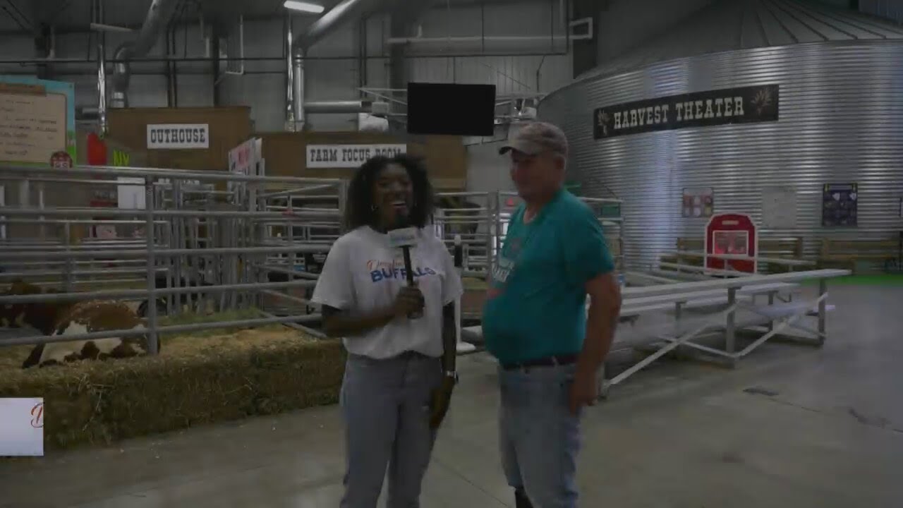 Daytime Buffalo: Moo-ternity Ward at the Erie County Fair - YouTube