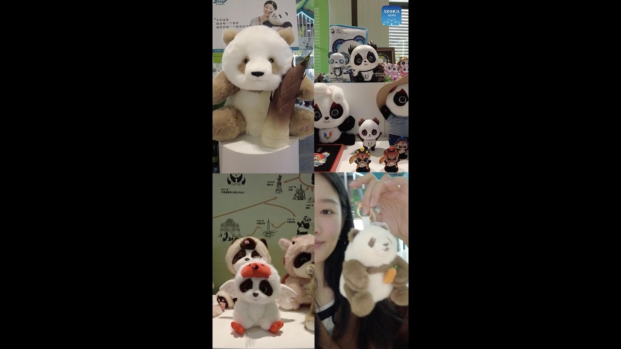 Vlog | Lost in panda wonderland at Global Panda Partners 2024 - YouTube