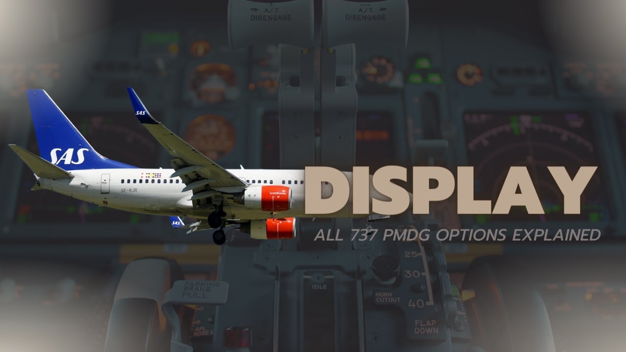 DISPLAYS - ALL 737 PMDG OPTIONS EXPLAINED - YouTube
