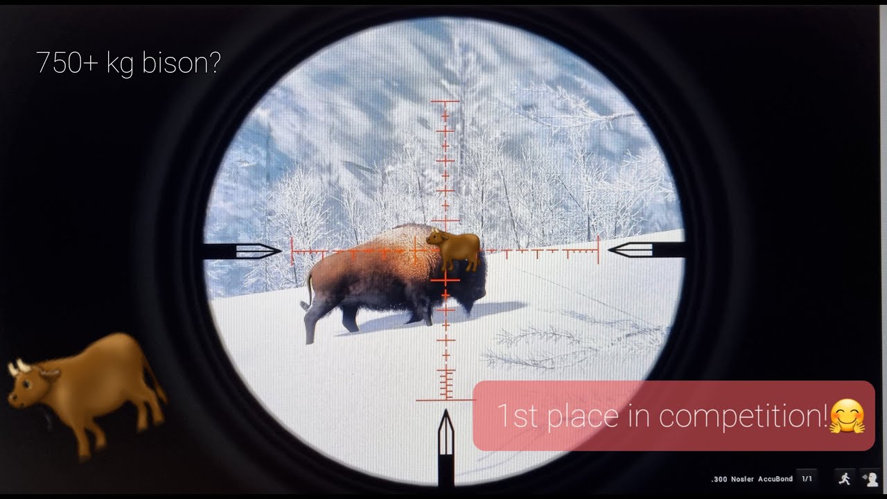 BISON HUNT the Hunter CLASSIC! - YouTube