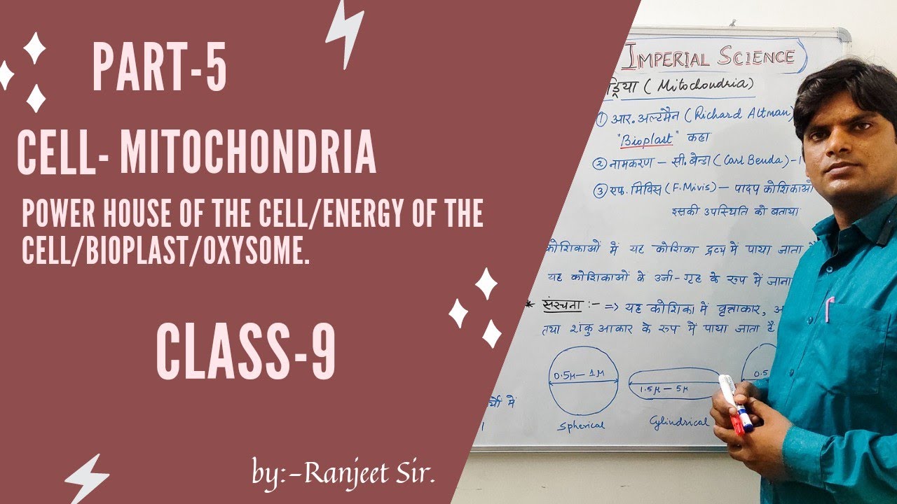 Mitochondria(Power House Of The Cell/Energy Of The Cell/Oxysome)| Part ...