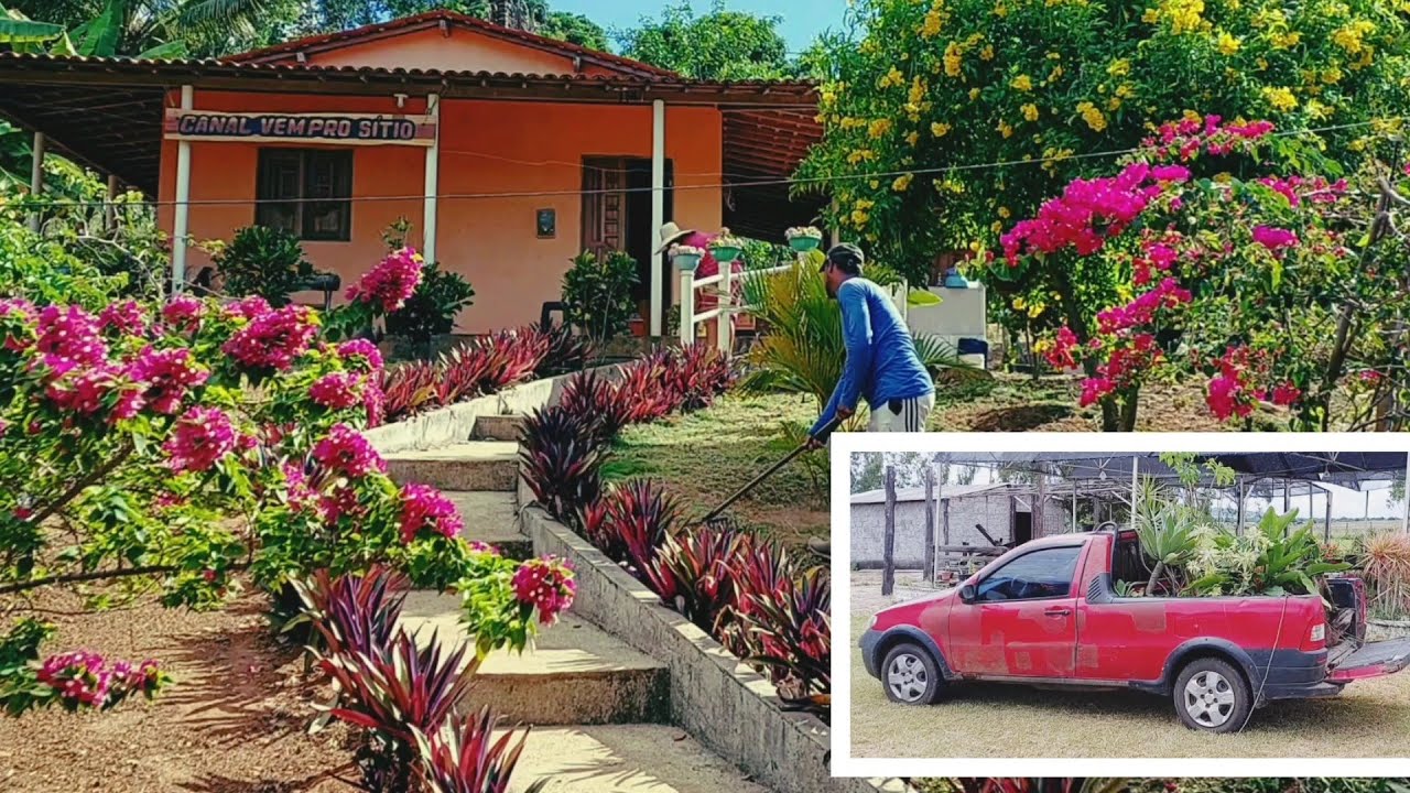 GANHEI UM CARRO DE PLANTAS, PRO JARDIM MAIS LINDO. - YouTube