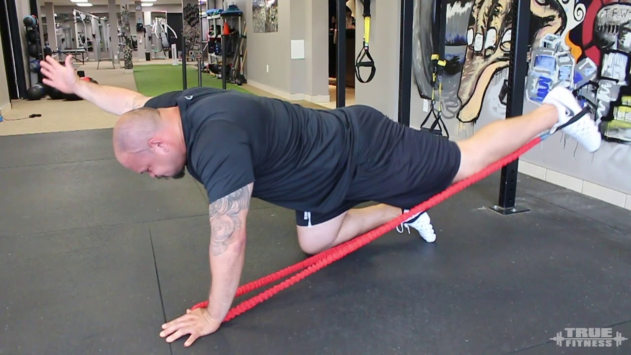 Banded Bird Dogs - YouTube