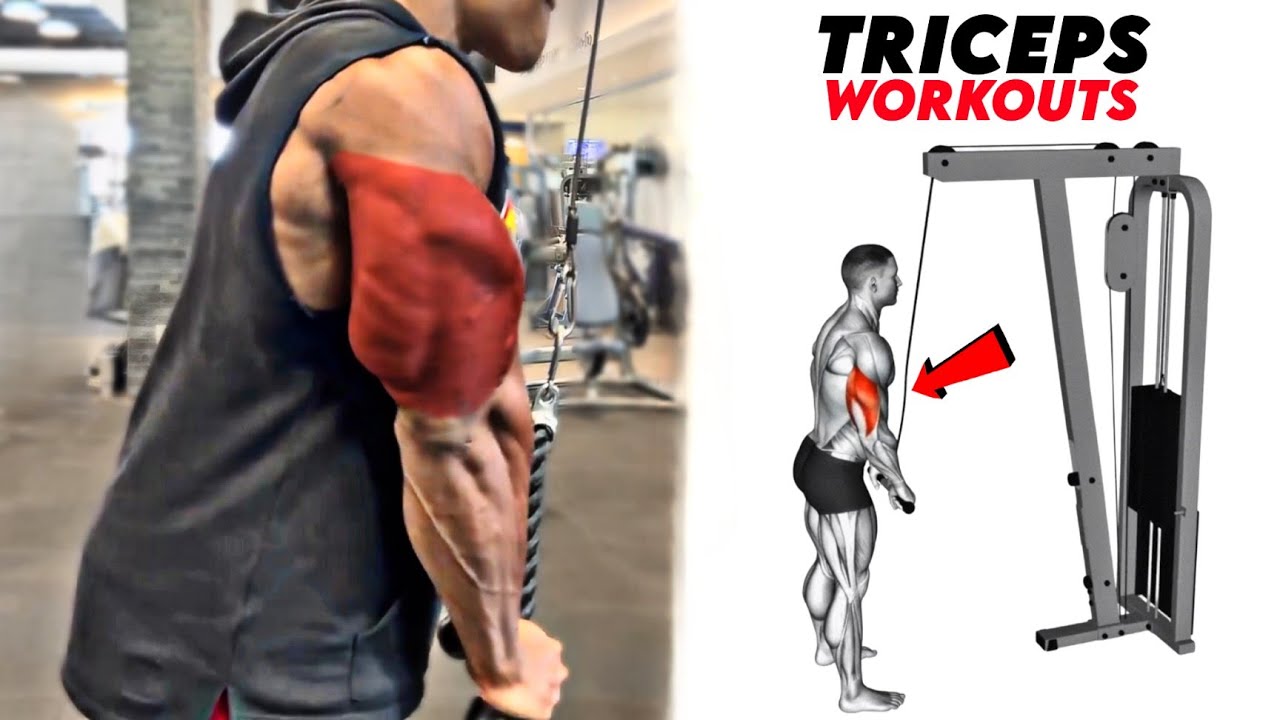 6 Ultimate Triceps Exercises for Maximum Size & Definition 💪 | Complete ...