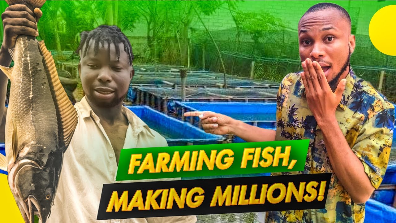 Young farmer who owns a successful backyard fish farm | His success ...