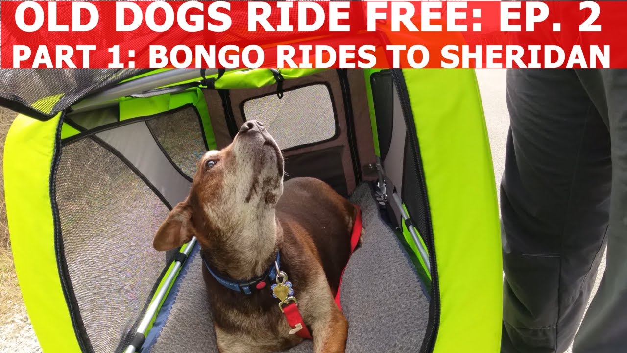 Old Dogs Ride Free: Episode 2 - Part 1 - Bongo Rides to Sheridan in the ...