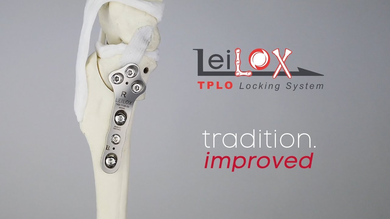 TPLO Pre-Contoured Polyaxial Limited Contact Locking System - YouTube