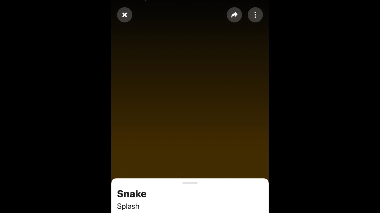 Splash Snake - YouTube