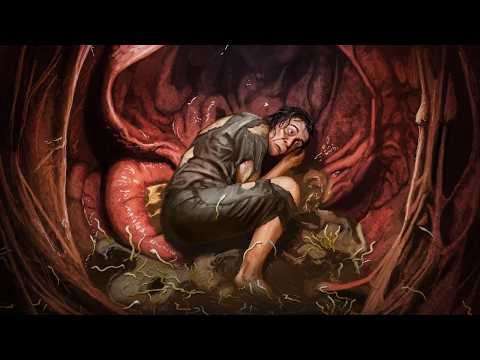 What Happens When A Whale Swallows You (Scientific Breakdown)