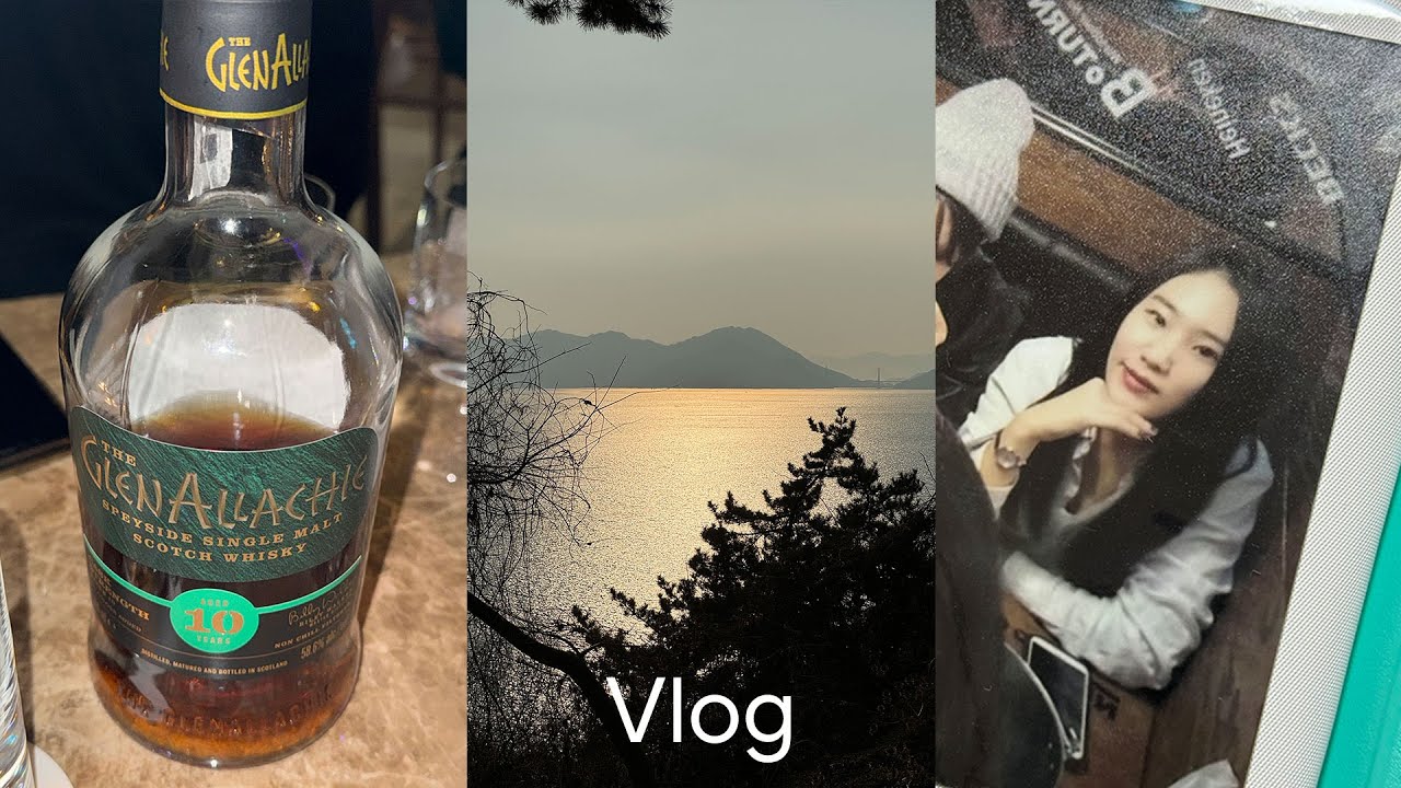 Vlog 직장인 브이로그위스키 회사의 회식이란 I 결혼 전 과거 지우기가 목적인 서랍 정리를 곁들인 바쁘다 바빠 설 연휴