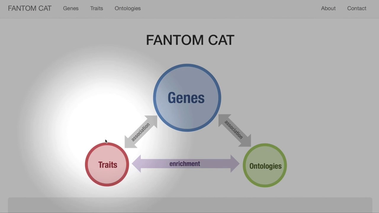 FANTOM CAT and ZENBU Browser - YouTube