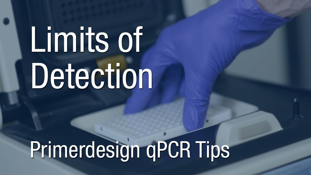 Primerdesign qPCR Tips | Limits of Detection - YouTube