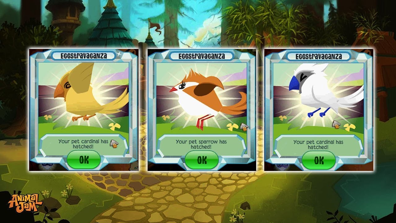 HOW TO GET PET CARDINAL ON ANIMAL JAM! 🐦 - YouTube