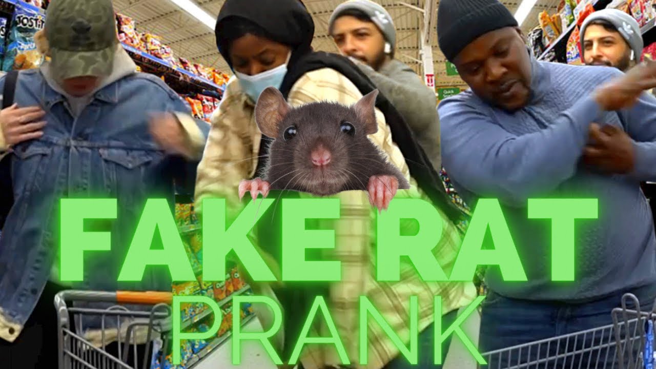 FAKE RAT PRANK COMPILATION! - YouTube