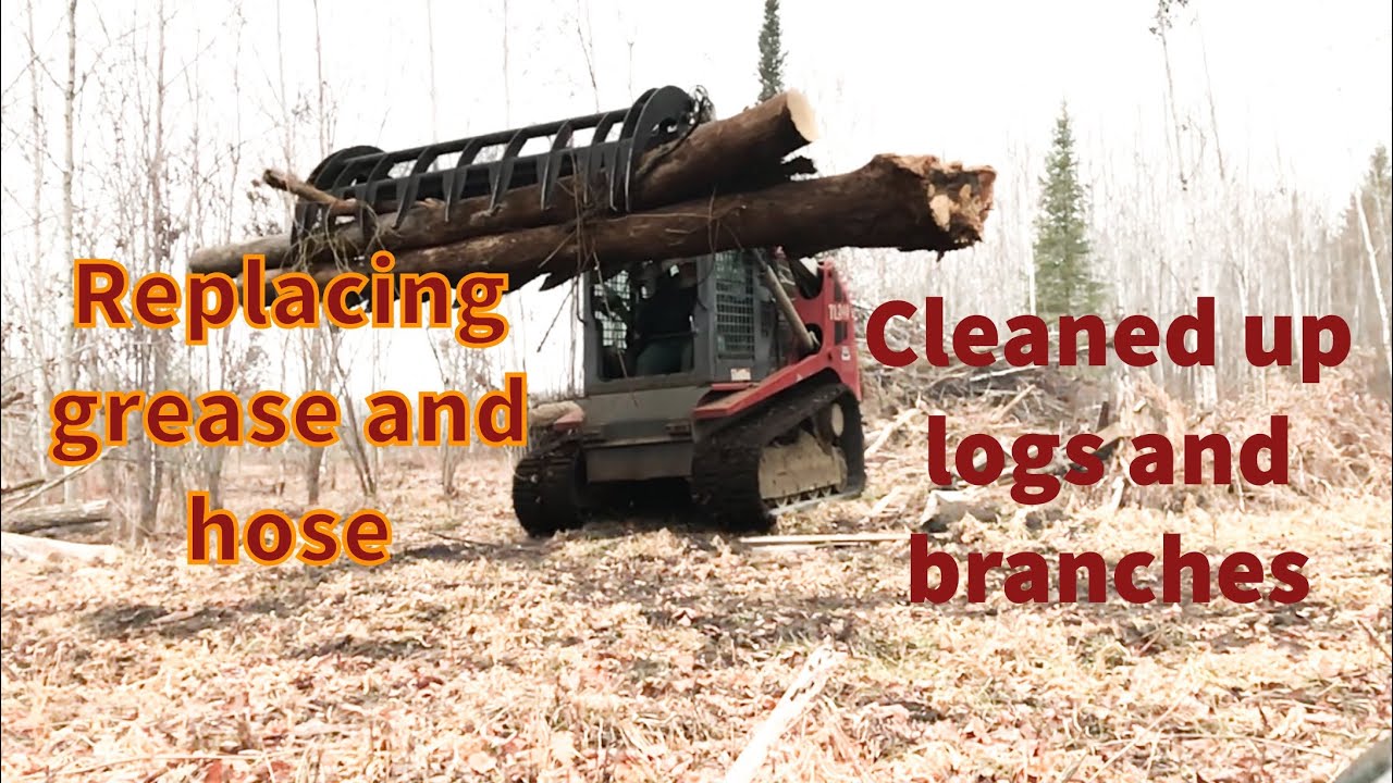 Cleaning up trees and branches - YouTube