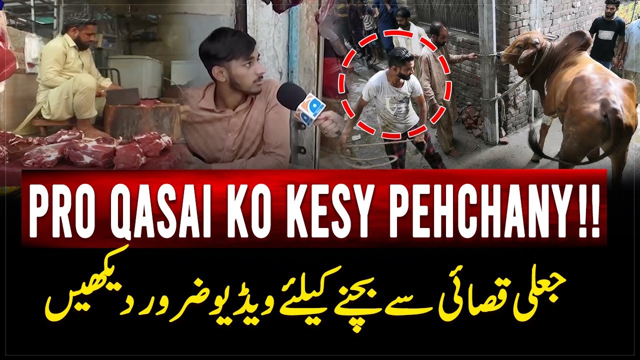Professional Qasai Ko kesy Pehchanein - MUST watch this Video - Qurbani ...