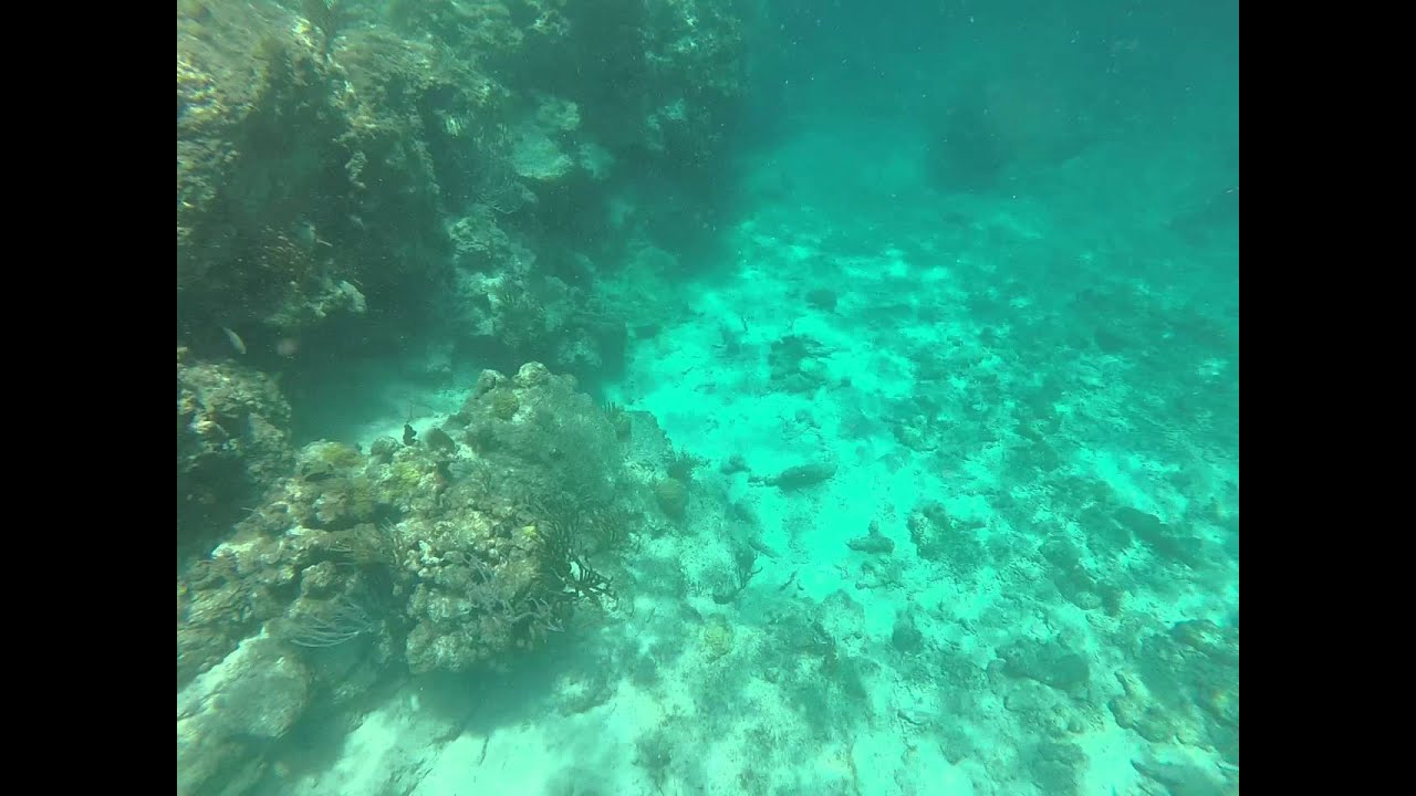 Snorkeling the Indians, BVI - Tunnel swim - YouTube