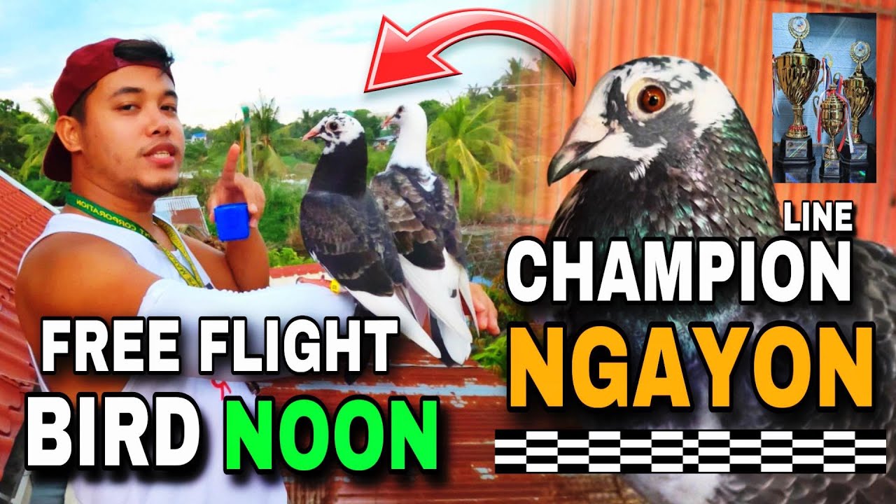 NAGPARES KAMI NG SPEEDBIRD CHAMPION 🏆🏁 - YouTube